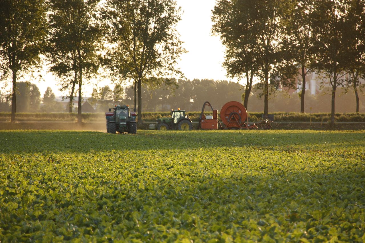 farm24 | part of F24 Group